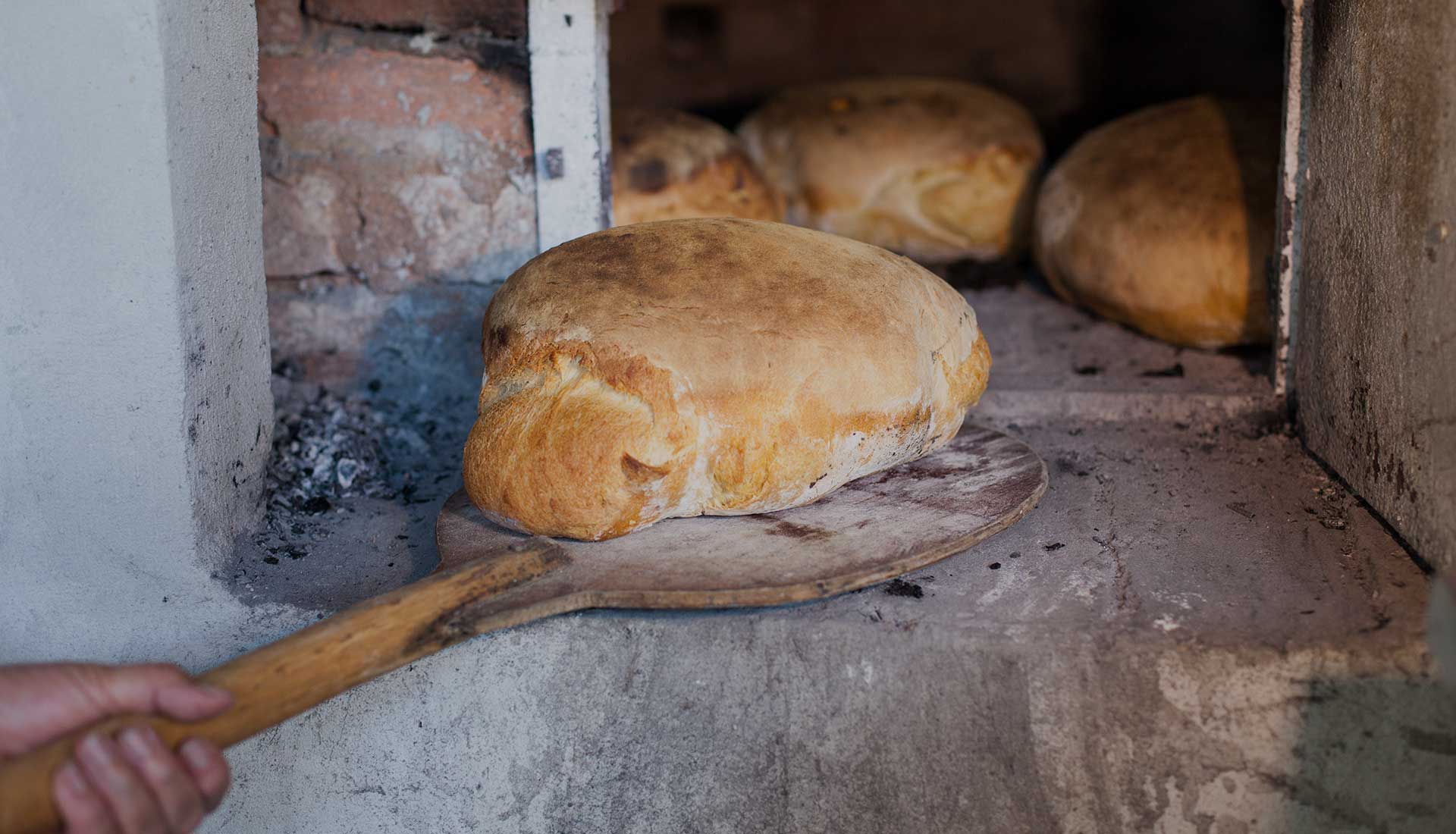 Bakery Home – Panaderia